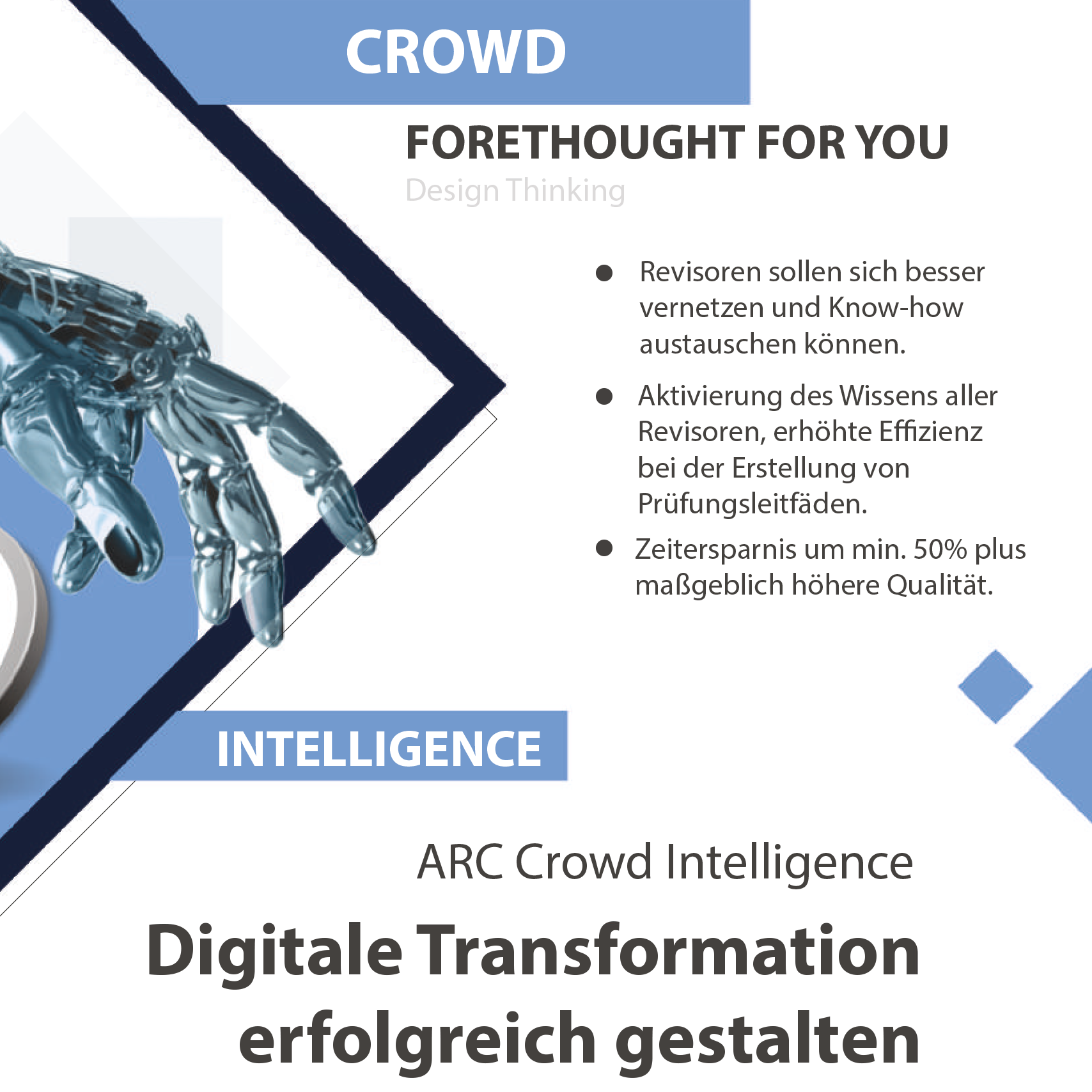 ARC Crowd Intelligence - Interne Revision Training